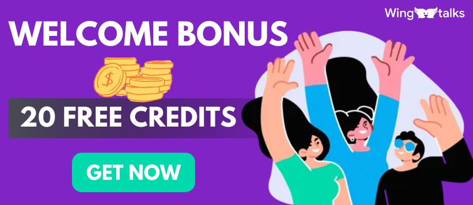 WingTalks Review: Features, Pricing & Member Quality | wing-talks.com ...